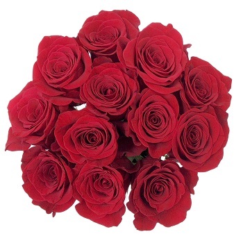 12 Stem Red Roses